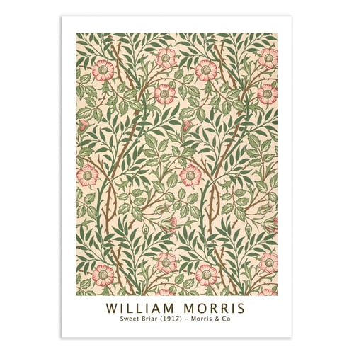 Sitemapcdatahttpgetcellcare1comwilliam Morris Affichenull
