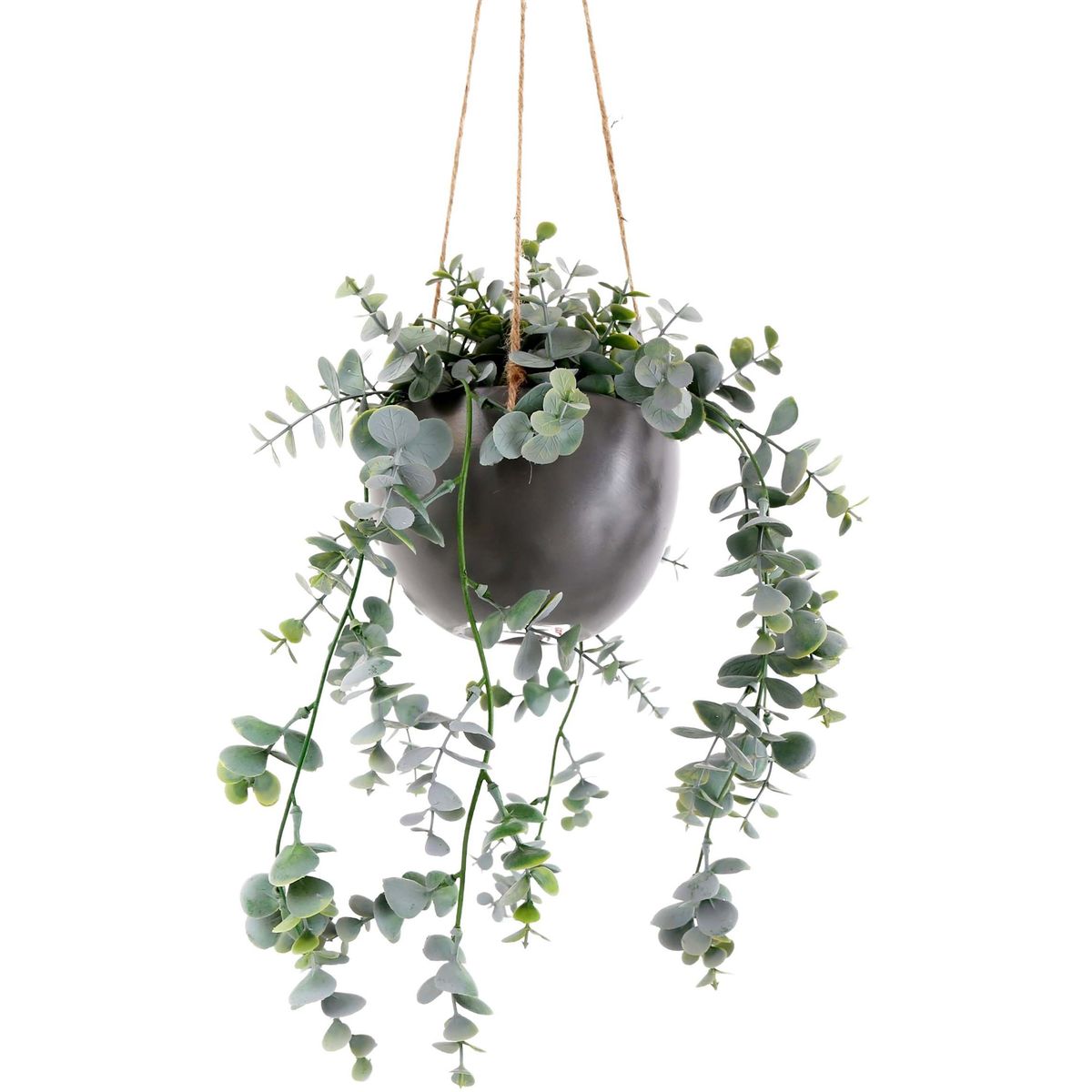 Eucalyptus artificiel avec suspension en céramique Couleur noir ...