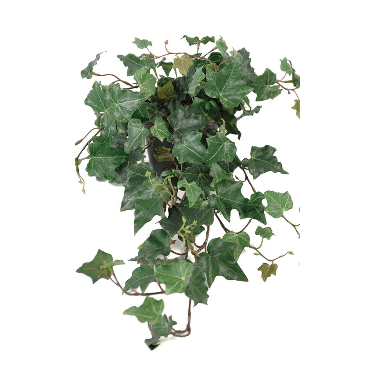 Lierre arborescent artificiel en pot, h 55 cm, d 35 cm Artificielles ...