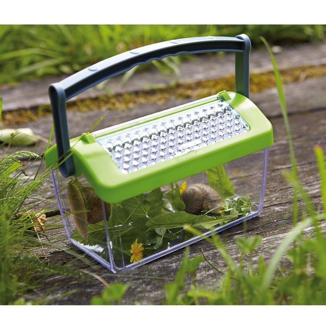 Boîte à insectes Haba | La Redoute