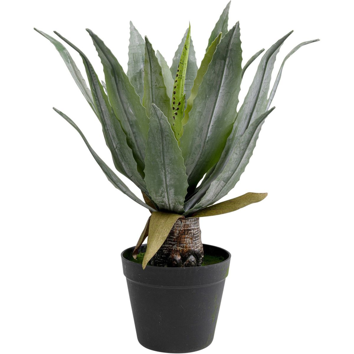 Plante décorative agave 40cm Couleur vert Kare Design | La Redoute