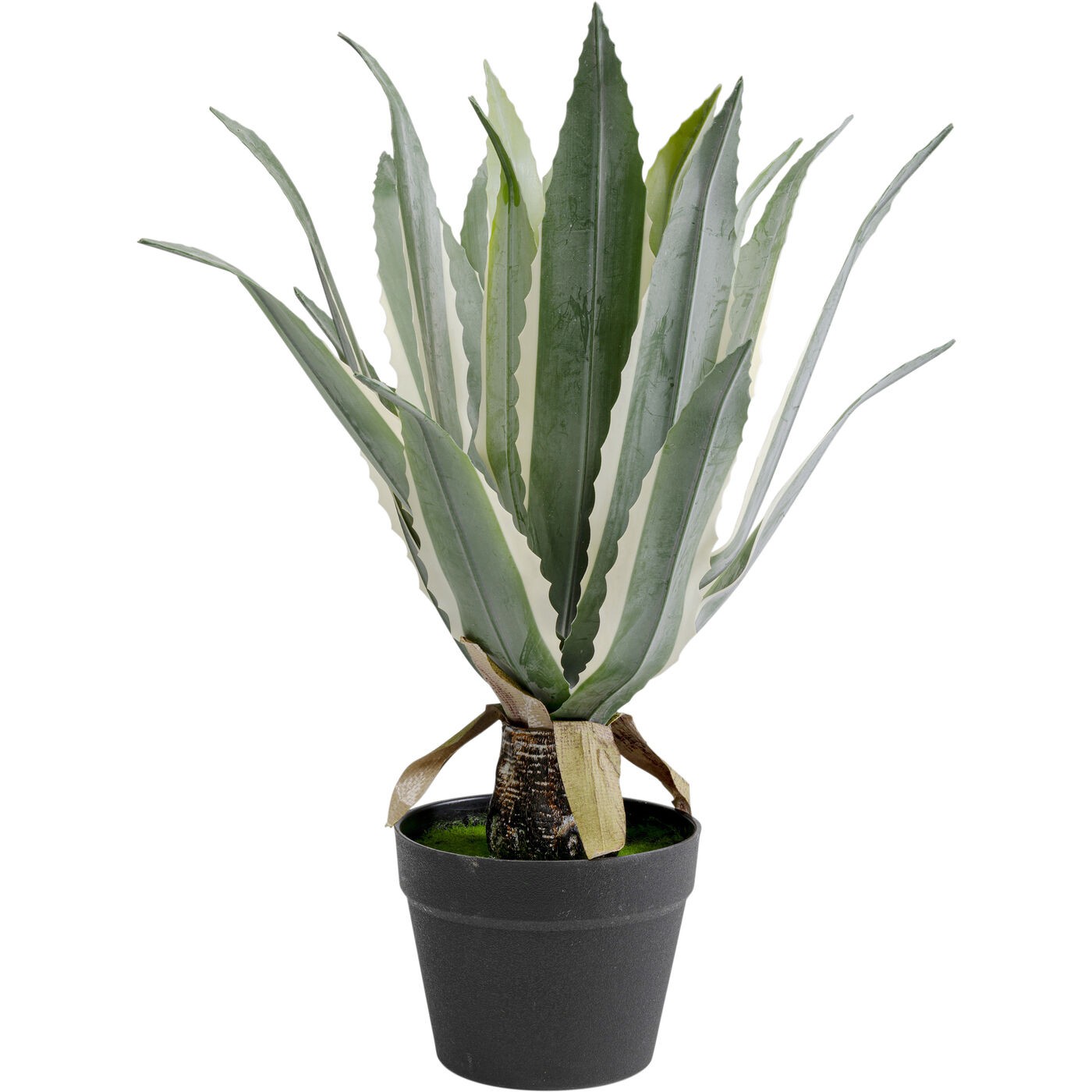 Plante décorative agave 50cm Couleur vert Kare Design | La Redoute